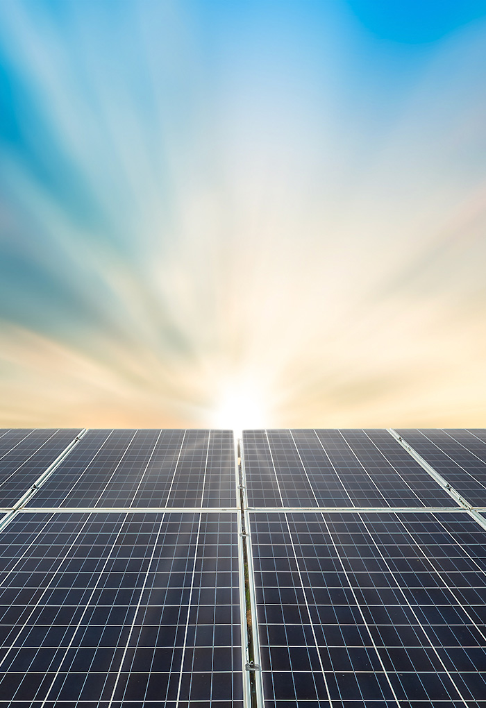 Descoperă Wiren - Wiren