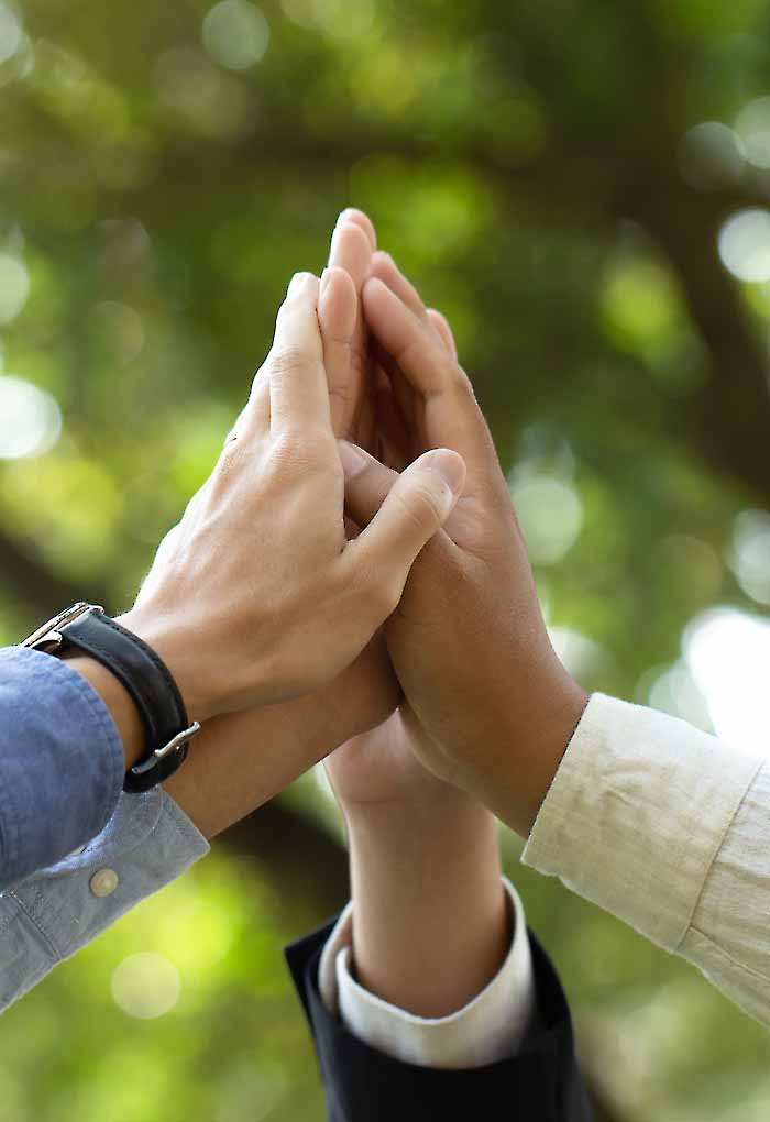 Soluții pentru energie regenerabilă și infrastructură energetică